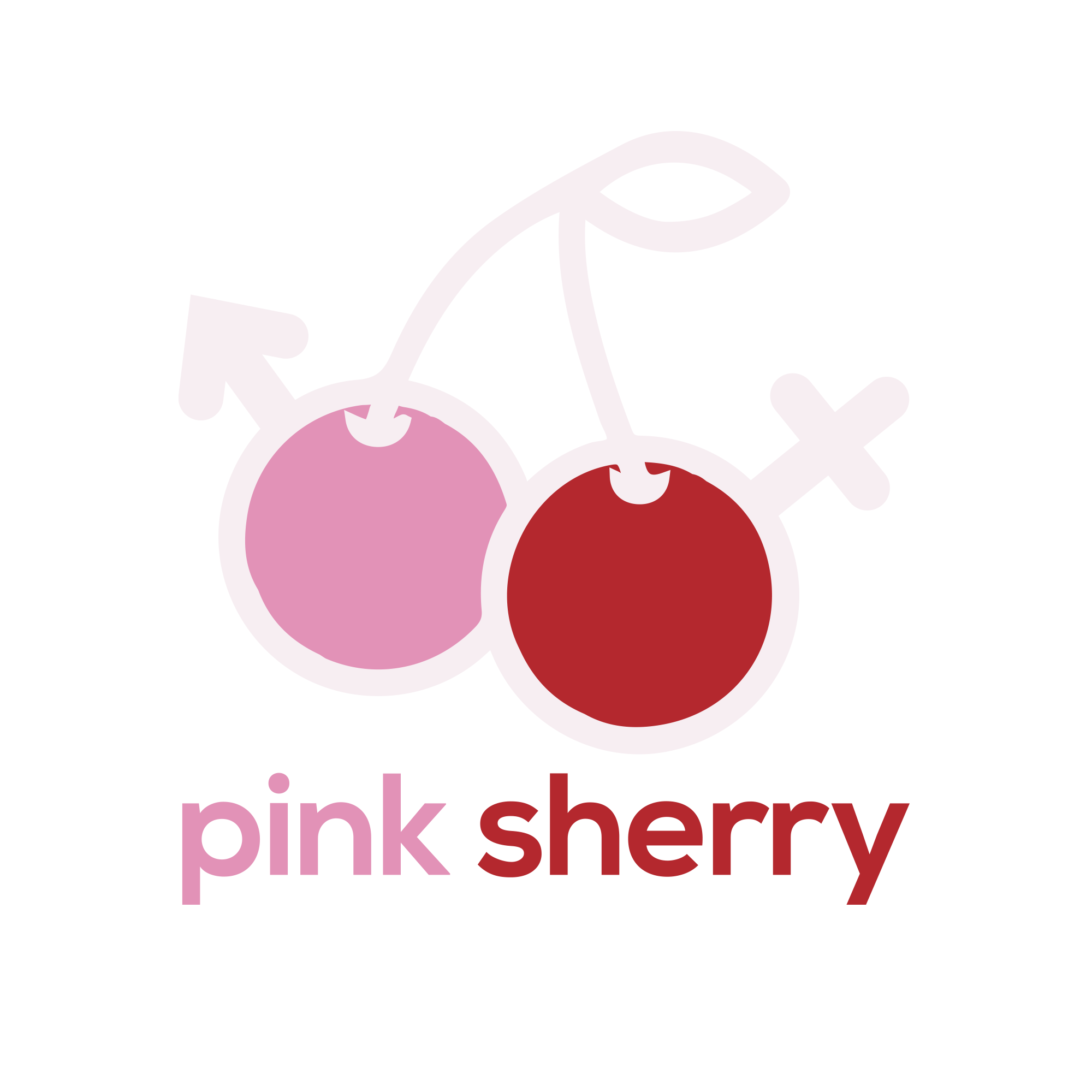 Sexshop Pink Sherry Sexshop